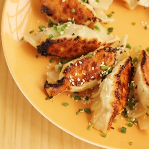 Gyoza at Home! | The Sugar Hit